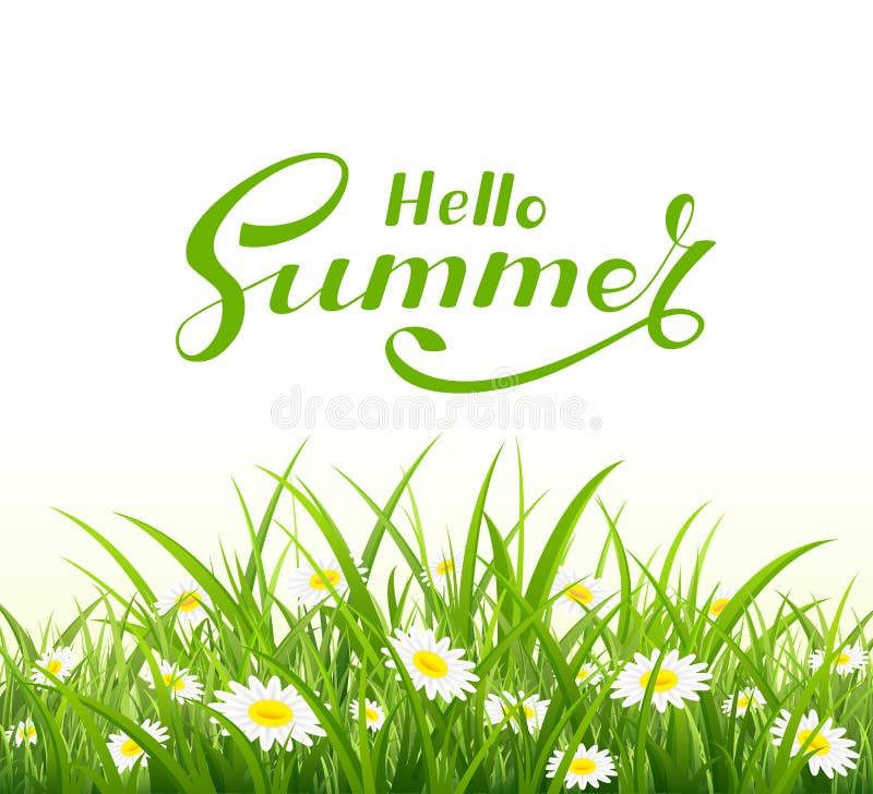 Green Grass Hello Summer Background Stock Illustrations – 1,258 Green ...