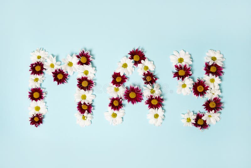 The Lettering May, Made of Flowers on Blue Background. Hello, May Stock ...
