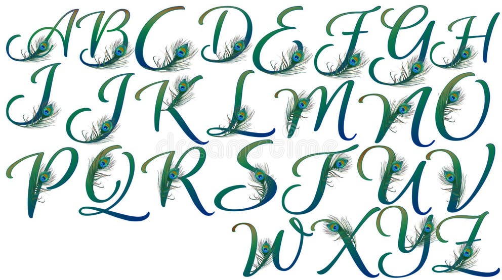Peacock Feathers Stock Illustrations 27209 Peacock Feathers Stock Illustrations Vectors