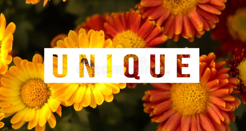 Encouraging word. Unique. stock illustration. Illustration of green ...