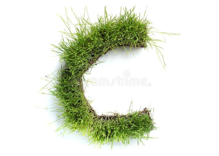 Letters made of grass stock image. Image of concept, fresh - 9048647