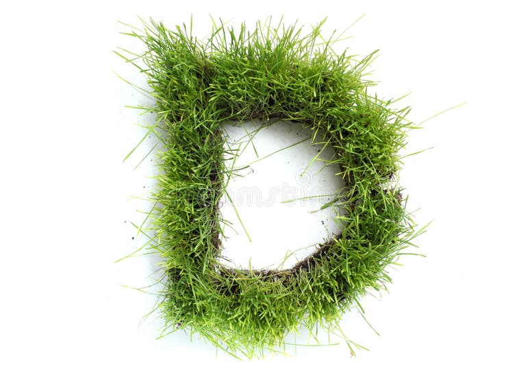 Letters made of grass stock image. Image of text, organic - 9048665