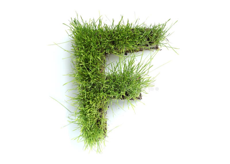 Letters made of grass stock image. Image of symbol, bright - 9048707