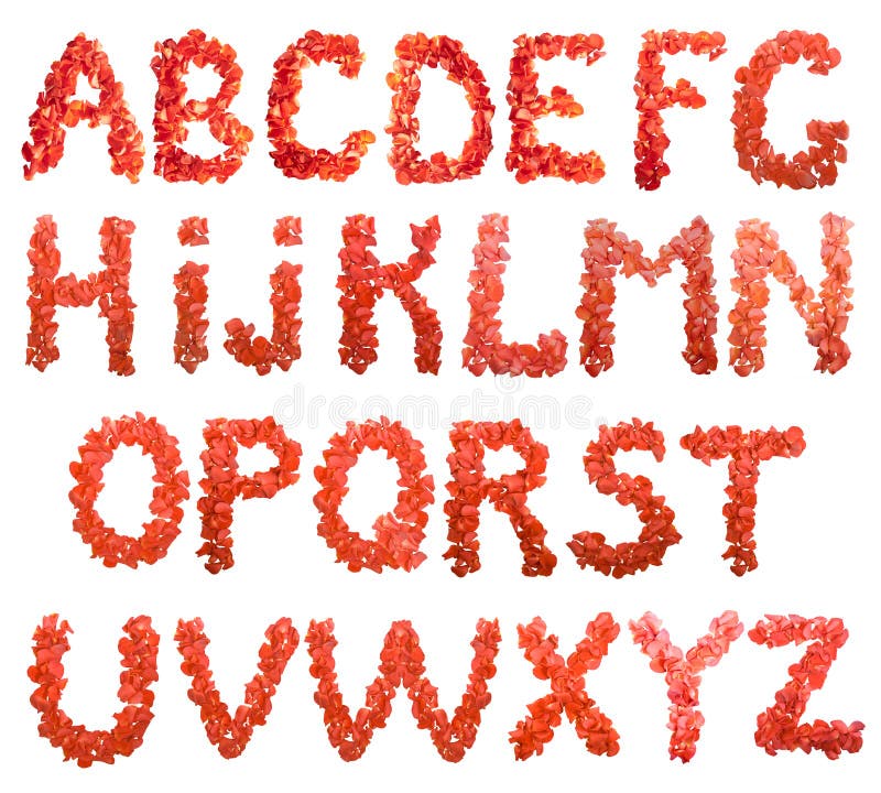 Floral Alphabet Isolated on White Stock Photo - Image of bouquet ...