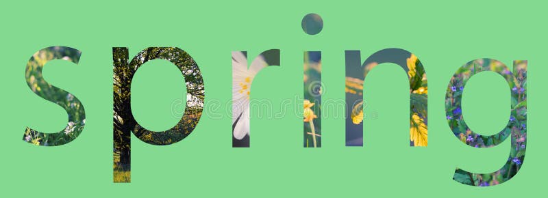 Letters spring concept stock illustration. Illustration of leaf - 85470063
