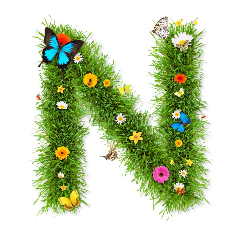 Lettre N de ressort illustration stock. Illustration du herbe - 38220773