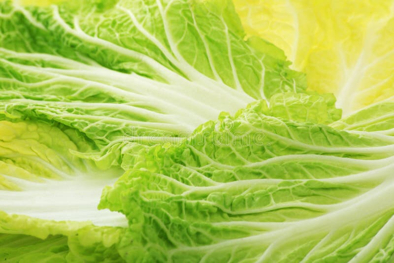 Lettuce Background Picture. Image: 7897081