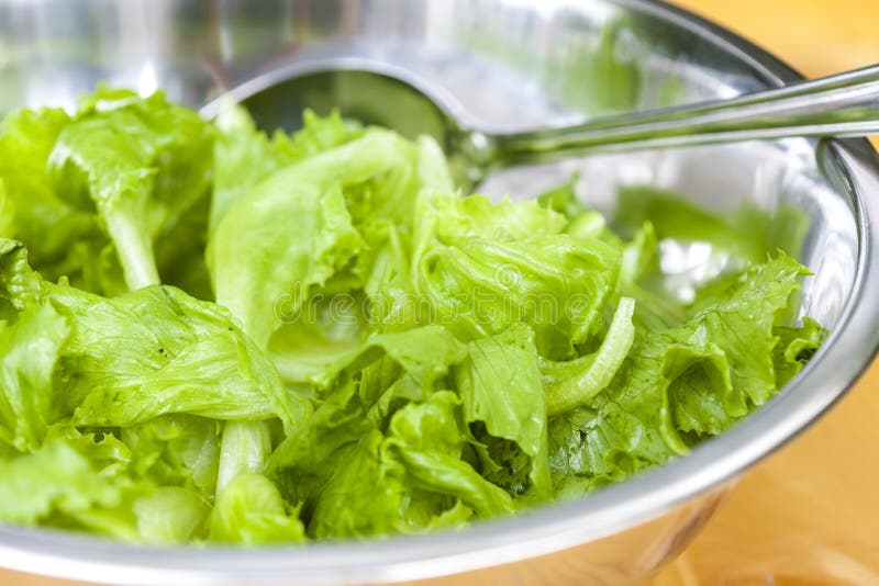 Lettuce in bowl stock image. Image of nutrition, salad - 55231619