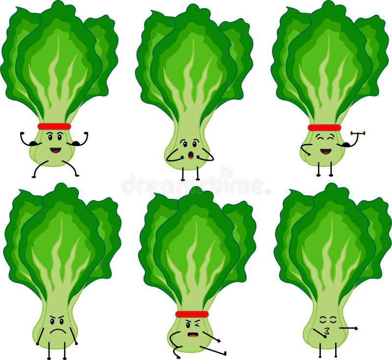 Lettuce Characters Stock Illustrations – 364 Lettuce Characters Stock ...