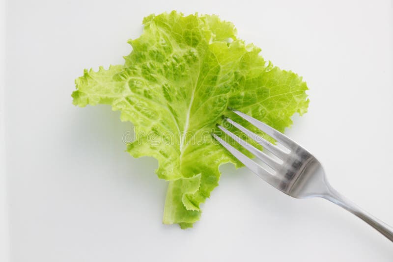 Lettuce stock image. Image of contemporary, dishware - 31083051