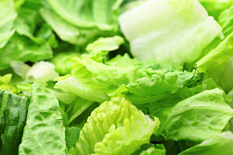 Lettuce stock image. Image of texture, nutrition, macro - 38722129