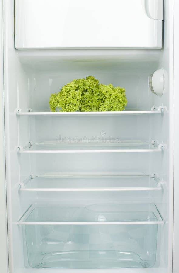 Half-empty fridge stock photo. Image of cold, fresh, cabbage - 23965876