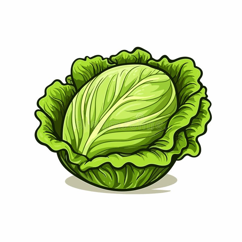 Lettuce Hand-drawn Illustration. Lettuce. Vector Doodle Style Cartoon ...