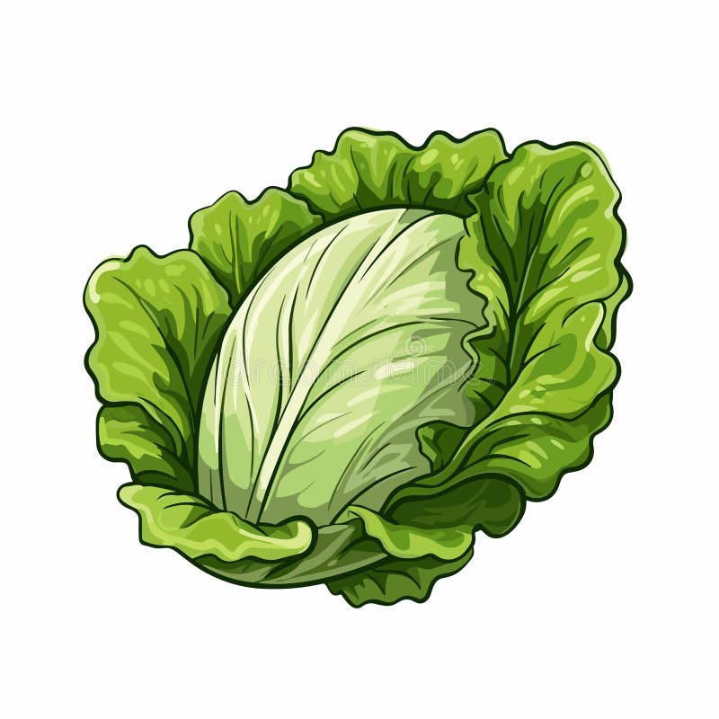 Lettuce Hand-drawn Illustration. Lettuce. Vector Doodle Style Cartoon ...