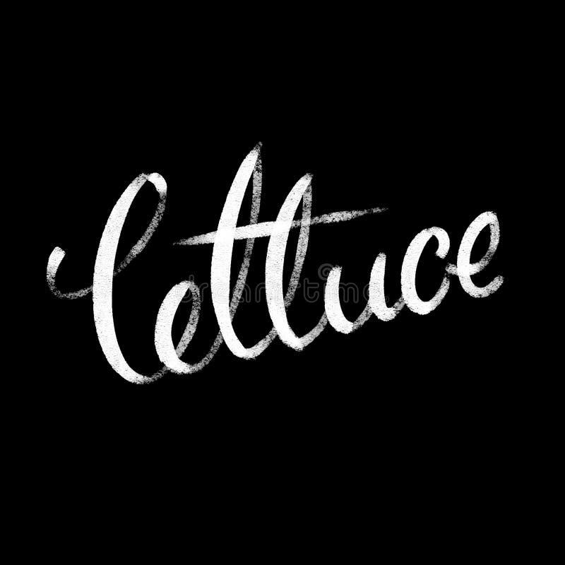 Lettuce Hand Drawn Lettering Text Stock Illustration - Illustration of ...