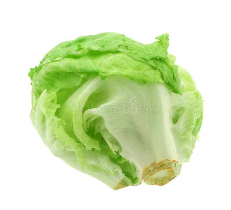 Lettuce Head Isolated on White Stock Photo - Image of plant, vegetable ...