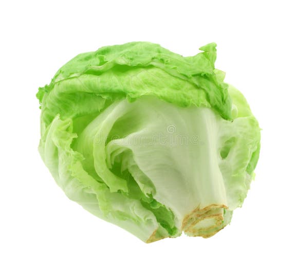 3,623 Single Lettuce Head Stock Photos - Free & Royalty-Free Stock ...