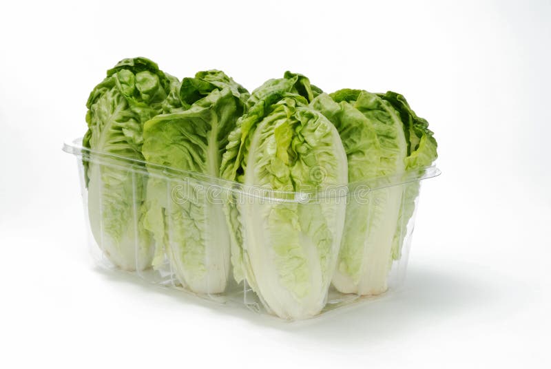 165 Packaged Lettuce Stock Photos - Free & Royalty-Free Stock Photos ...