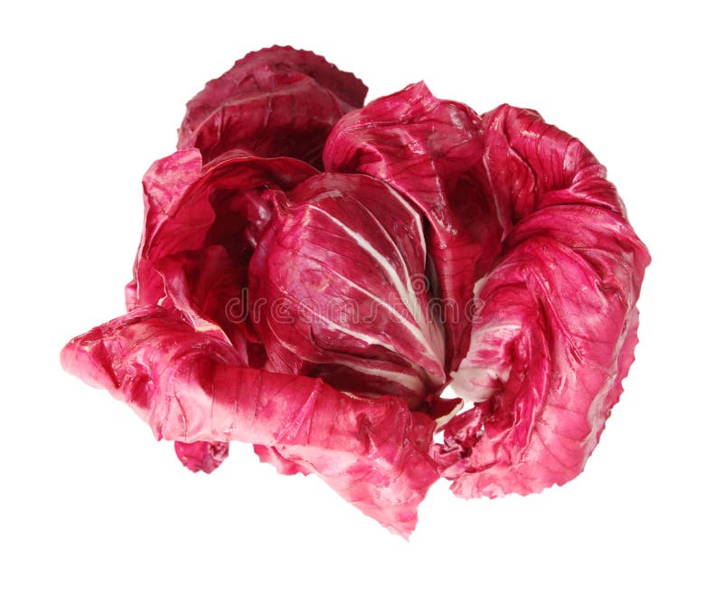 Radicchio and Romance Lettuce Stock Photo - Image of salad, vegetable ...