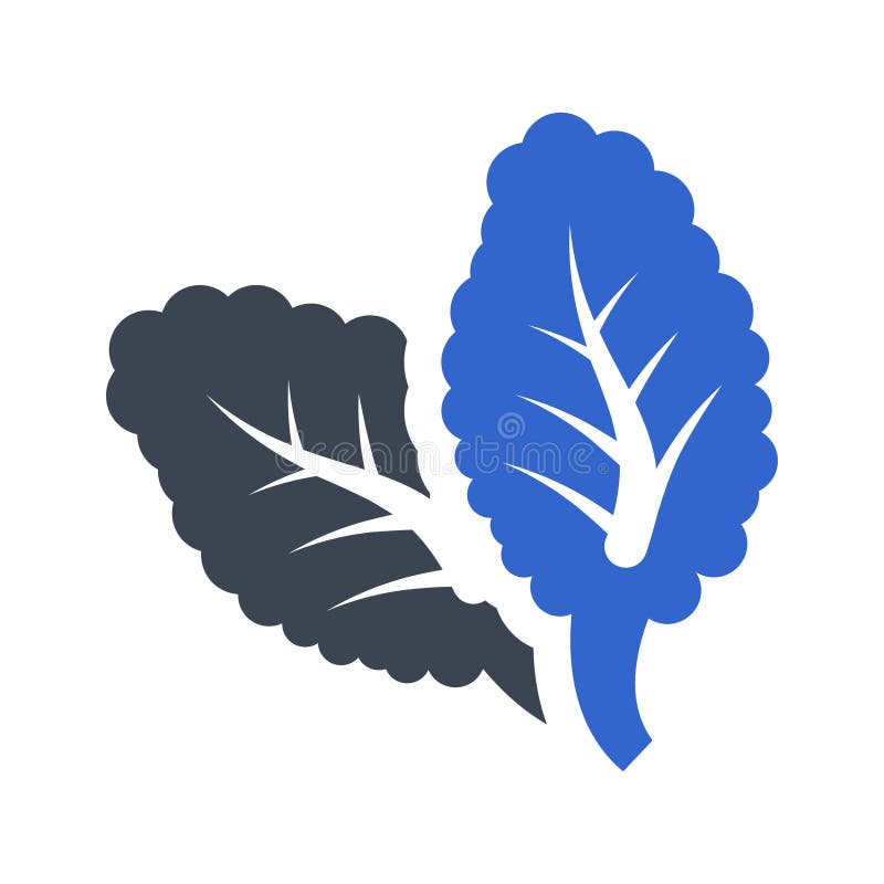 Lettuce Icon stock vector. Illustration of vegetarian - 301475015