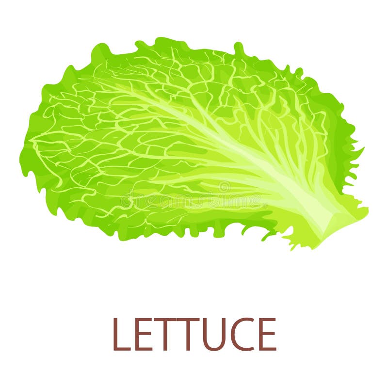 Lettuce Icon, Isometric Style Stock Vector - Illustration of lettuce ...