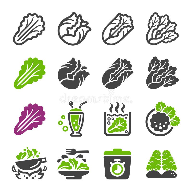 Lettuce icon set stock vector. Illustration of farm - 136175520