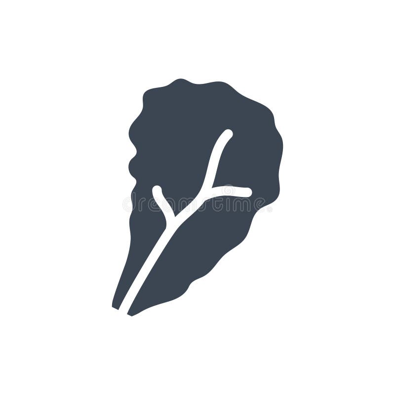 Lettuce Icon. Simple Vector Graphics Stock Vector - Illustration of ...