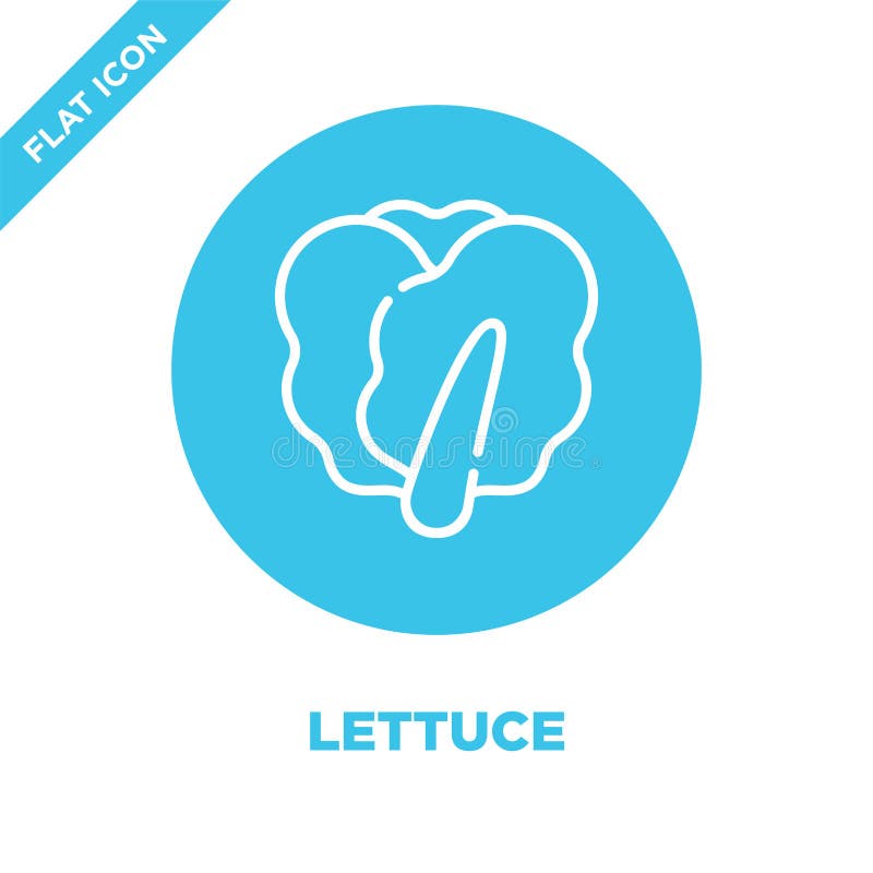 Lettuce Icon Vector. Thin Line Lettuce Outline Icon Vector Illustration ...