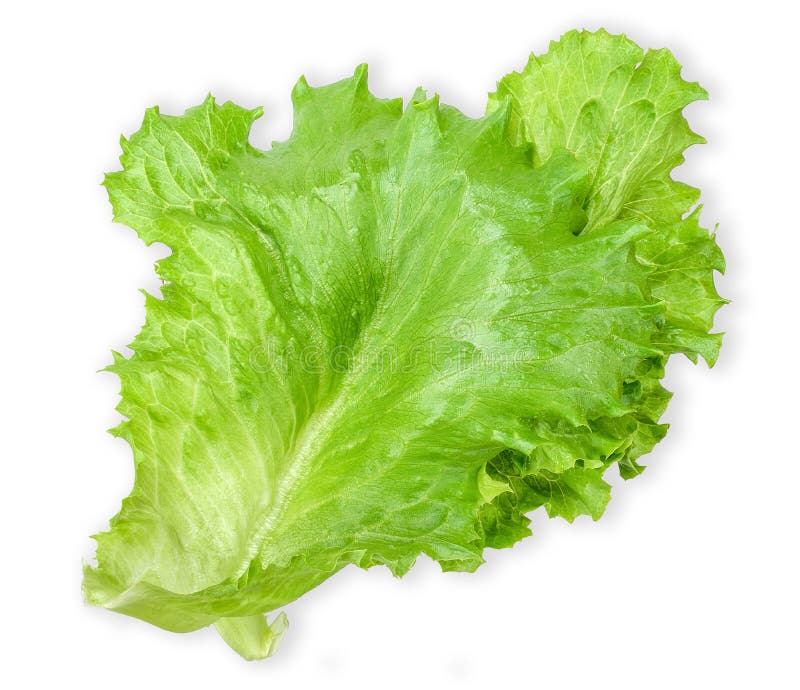 Fresh Lettuce Isolated On White Top View Stock Photo - Image of nature ...