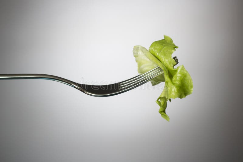 Lettuce Leaf on a Fork on a White Table Stock Photo - Image of ...