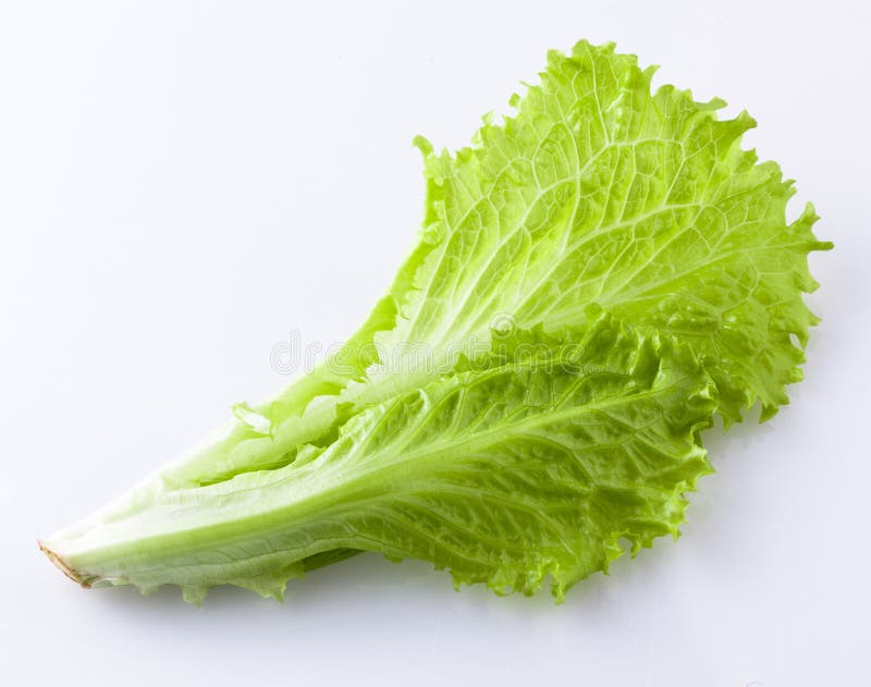 Lettuce stock image. Image of herb, ingredient, fresh - 34686645