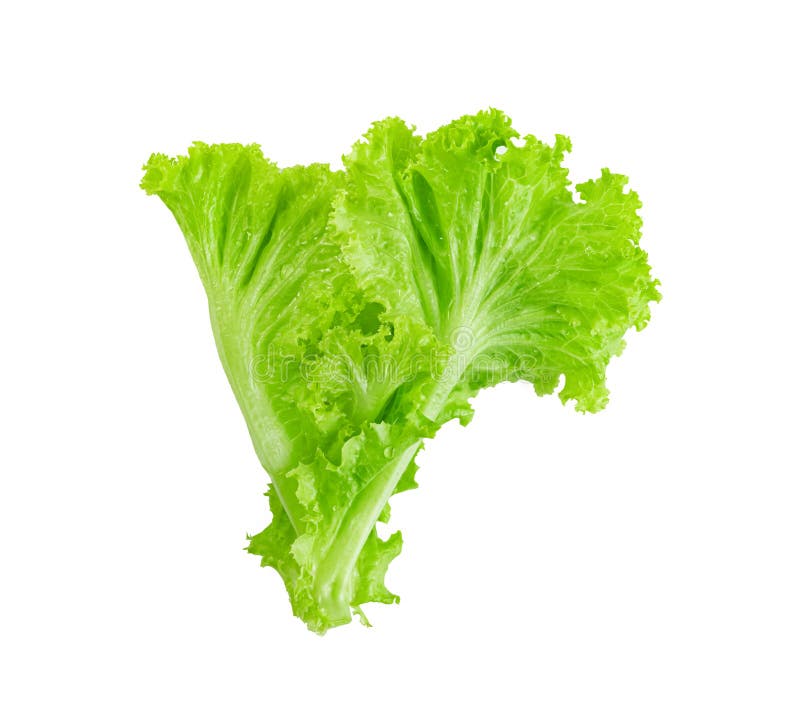 Lettuce Leaf Isolated on White Background ,Green Leaves Pattern ,Salad ...