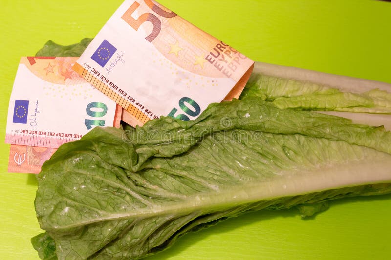Lettuce Leaves in a Bunch with Euro. Stock Photo - Image of plant ...