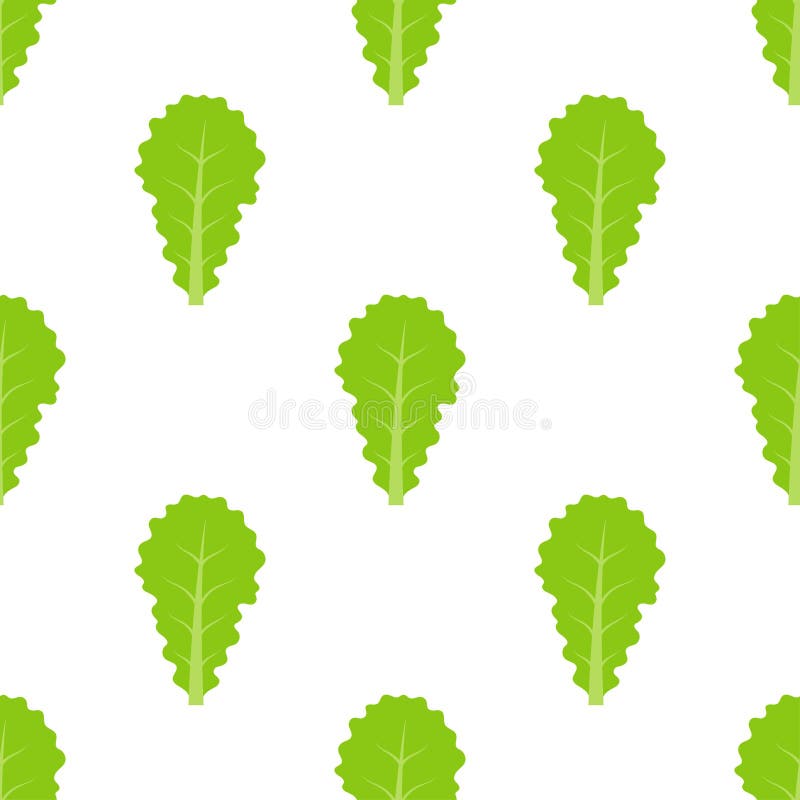 Lettuce Leaves Seamless Pattern Stock Vector - Illustration of farming ...