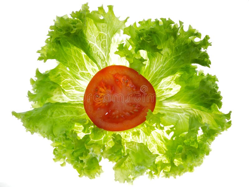 Lettuce Leaves and Tomato Slice Stock Image - Image of vegetarian ...