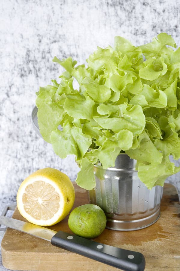 Lettuce with Lemon and Lime Stock Image - Image of lemon, concept: 50652519