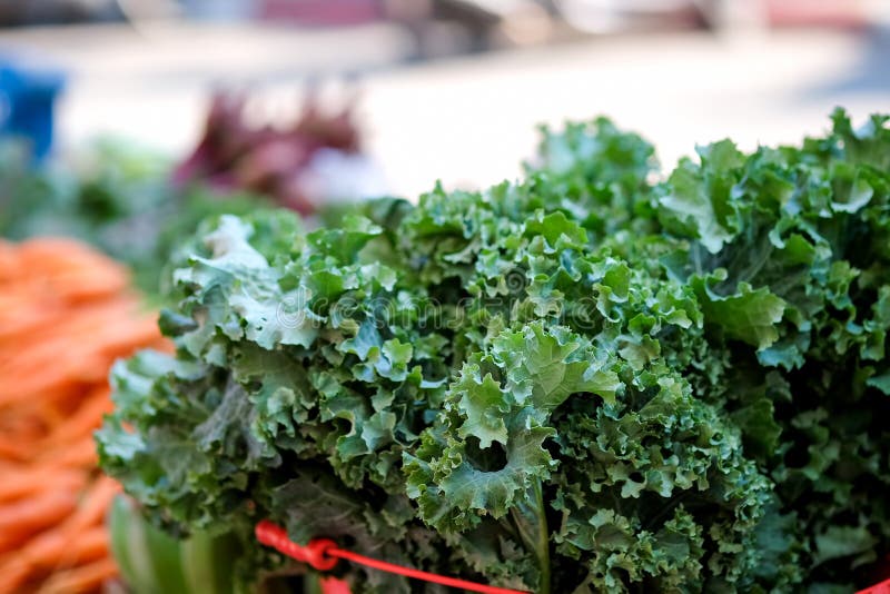 Lettuce in Market Organic Vegetables. Stock Photo - Image of green ...
