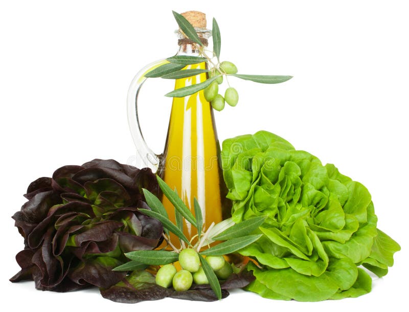 Lettuce and olive oil stock photo. Image of branch, vegetarian - 27497504