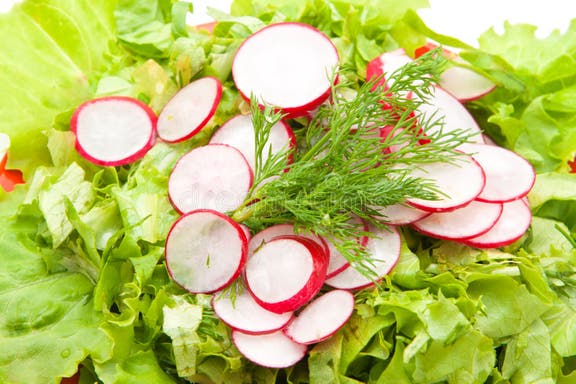 Lettuce and radishes stock photo. Image of food, plenty - 19808272
