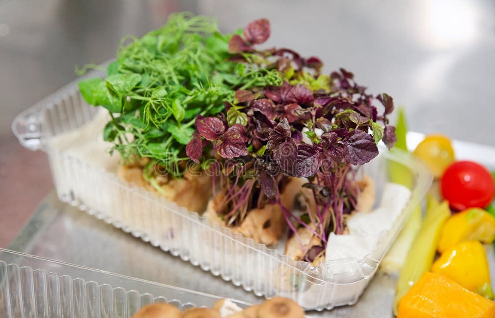 Lettuce on Restaurant Kitchen Stock Photo - Image of small, fresh: 25127544