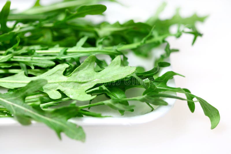 Lettuce Rocket ( Arrugula ) Stock Image - Image of seasoning, food ...