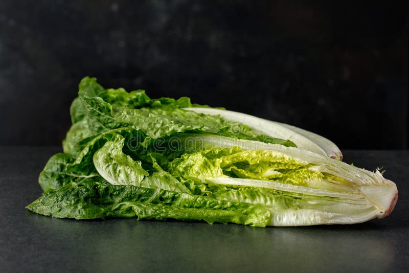 Roman Lettuce Vegetable Planting Crop At Harvesting Stage Stock Image ...