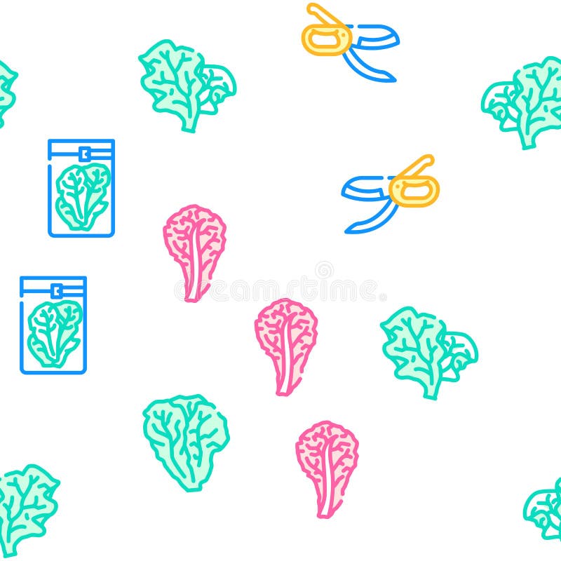 Lettuce Salad Leaf Vegetable Vector Seamless Pattern Stock Vector ...