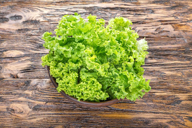 Red lettuce on the table stock photo. Image of dieting - 89409978