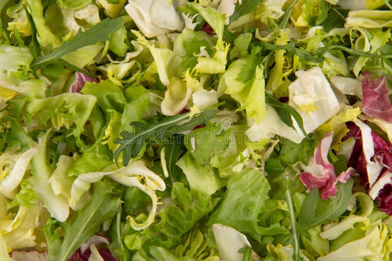 Lettuce Texture - Close-up of Leaves of Several Types of Lettuce Stock ...