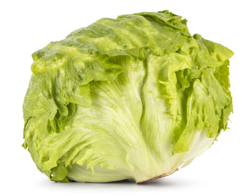 Lettuce on White Background Stock Image - Image of healthy, laying ...