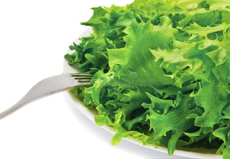 Lettuce on a White Plate and a Fork Stock Photo - Image of fork ...