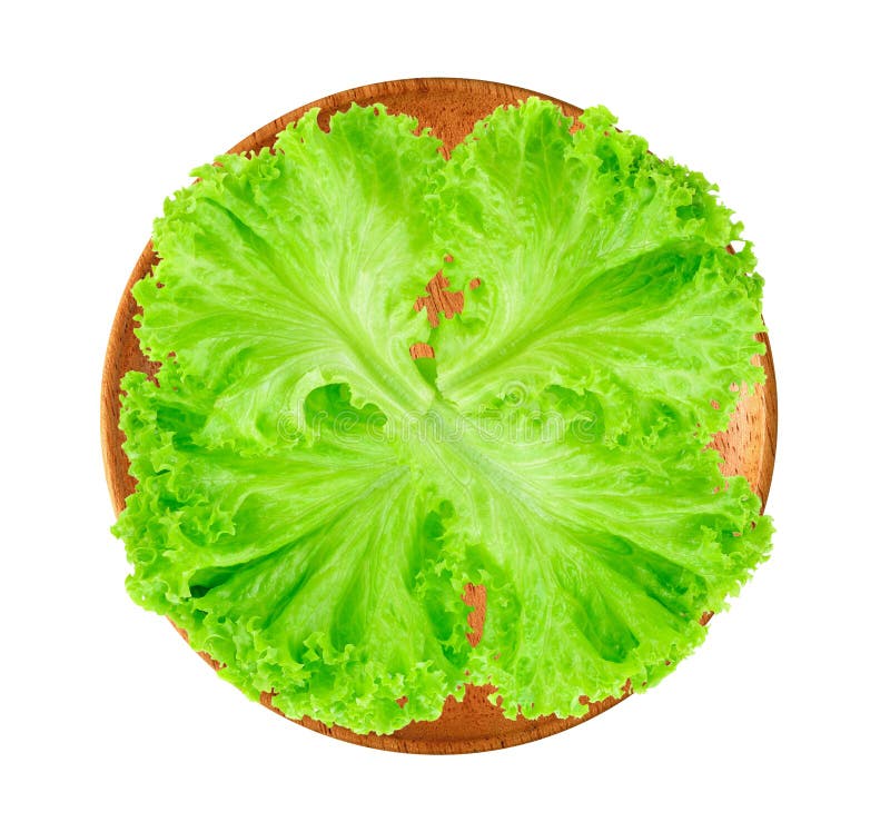 Single Lettuce Leaf On A Plate Stock Image - Image of lettuce, knife ...