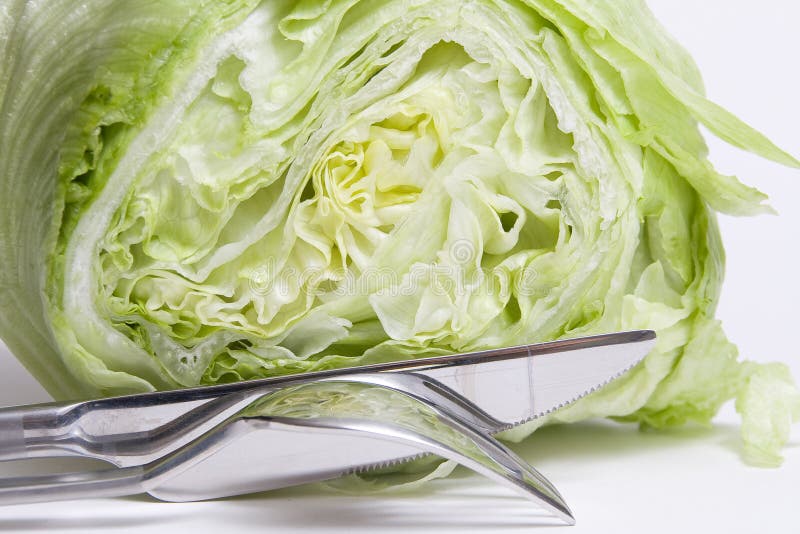 Letucce iceberg stock image. Image of ingredient, lettuce - 22609957
