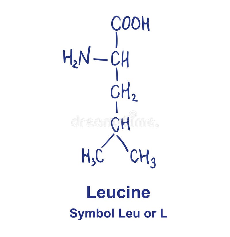 Structural Formula For Leucine